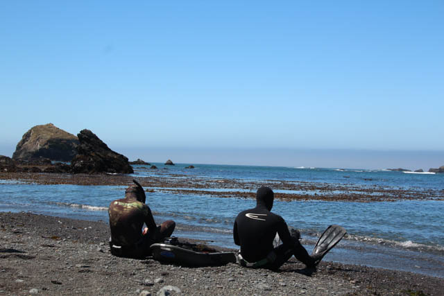 10 Things You Need to Know About Abalone Diving in Mendocino, CA
